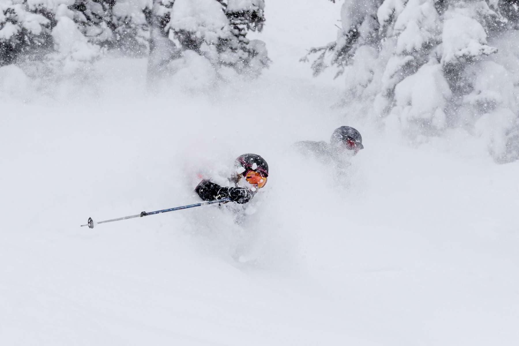 Island Lake Lodge in Fernie B.C. | Mountain Resort & Catskiing